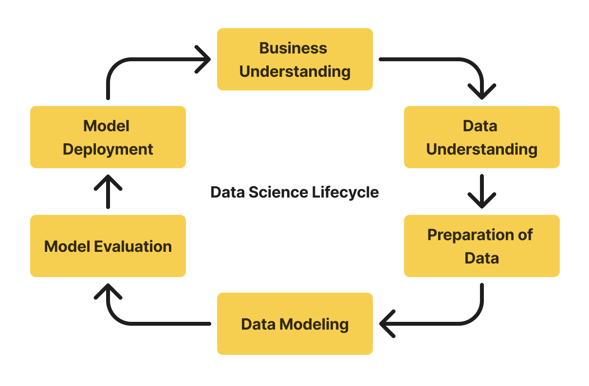 Data Science Lifecycle